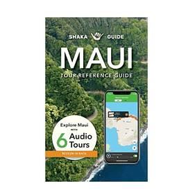 7 Essentials for Hawaii – Travel Planner – Sarah Lawrence – Sarah of ...